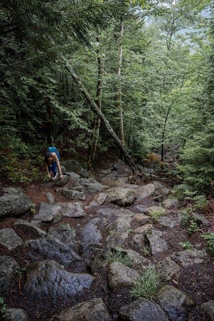 Acuvue Moist Multifocal Fitting Guide: Easy & Comfortable