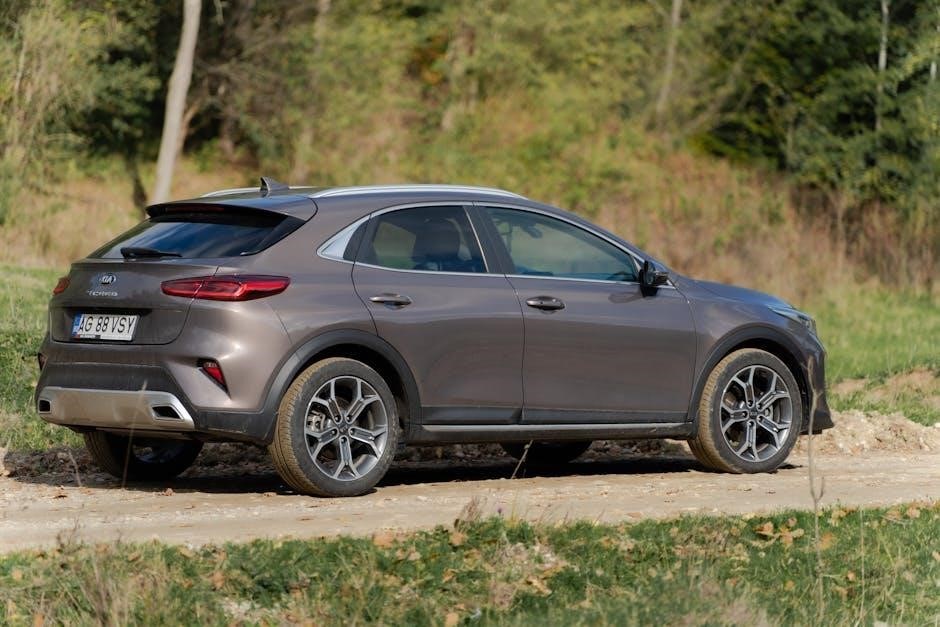 Wheel Stud Size Guide: Find Your Perfect Fit | The Good Footprint