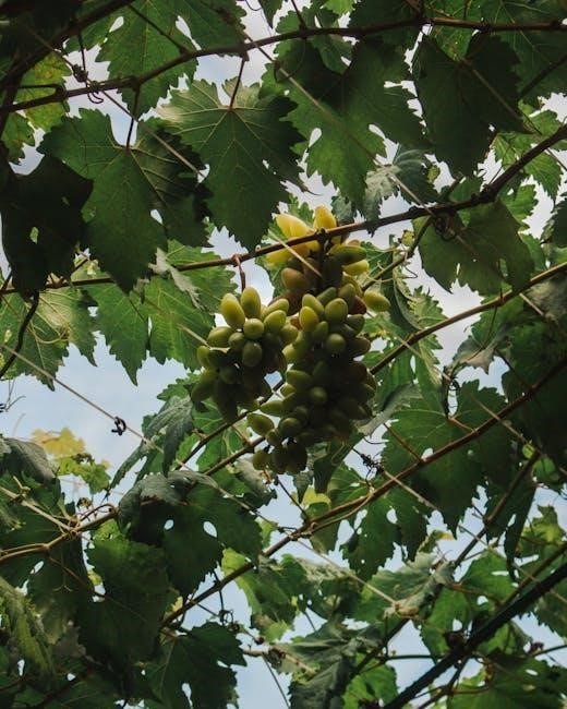 Unlock The Sour Grape PDF | Your Free Guide Awaits