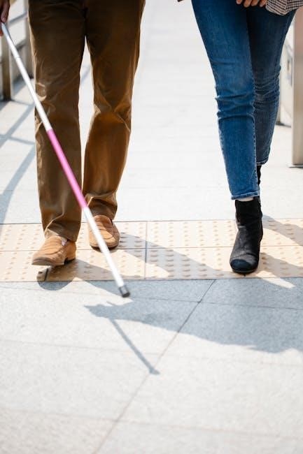 Vaillant EcoTec Pro 24 User Guide: Installation, Troubleshooting ...