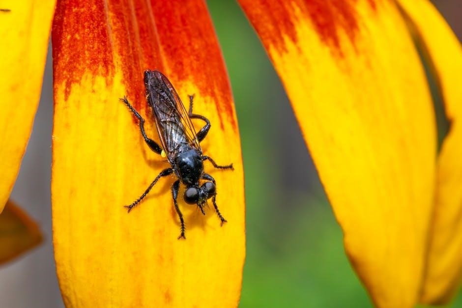 Get AS 1428.1 2021 PDF Free Download